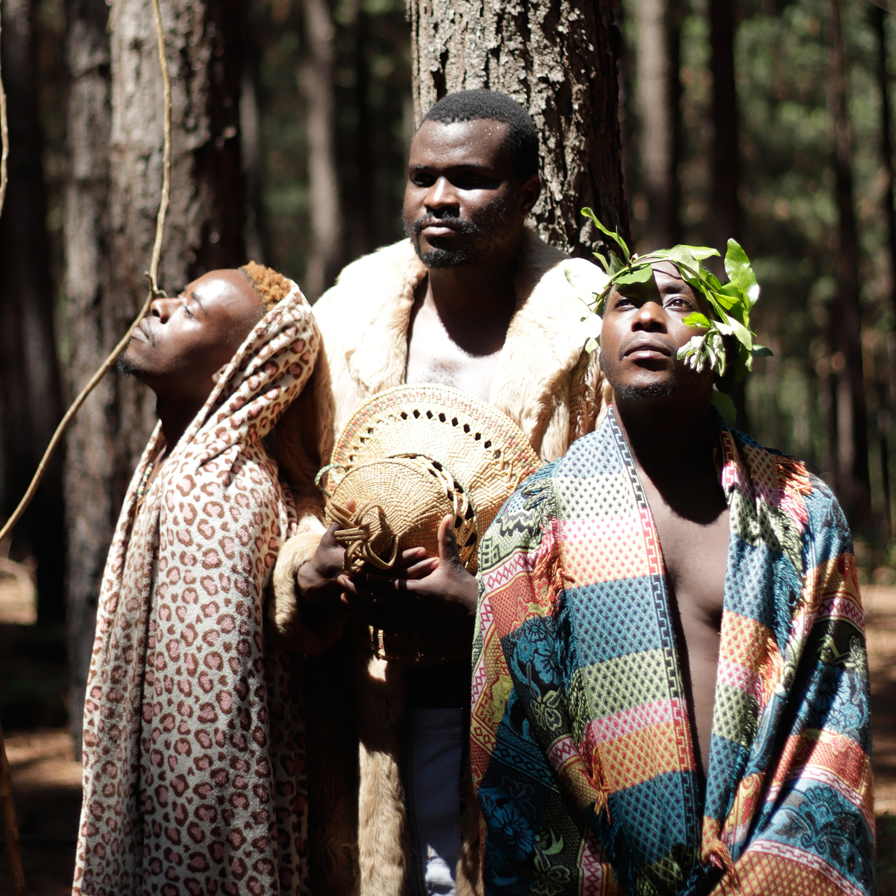 DIRECTOR MABOKO